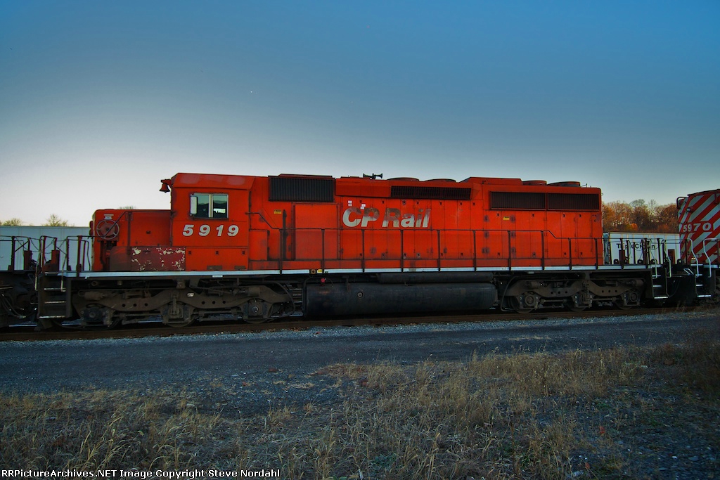CP 5919